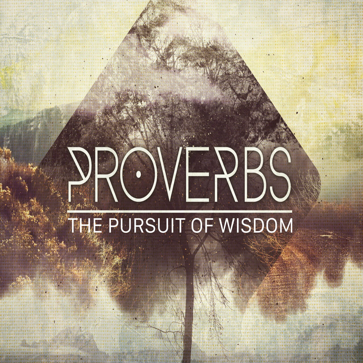 The Pursuit of Wisdom (Proverbs) — Saraland Christians