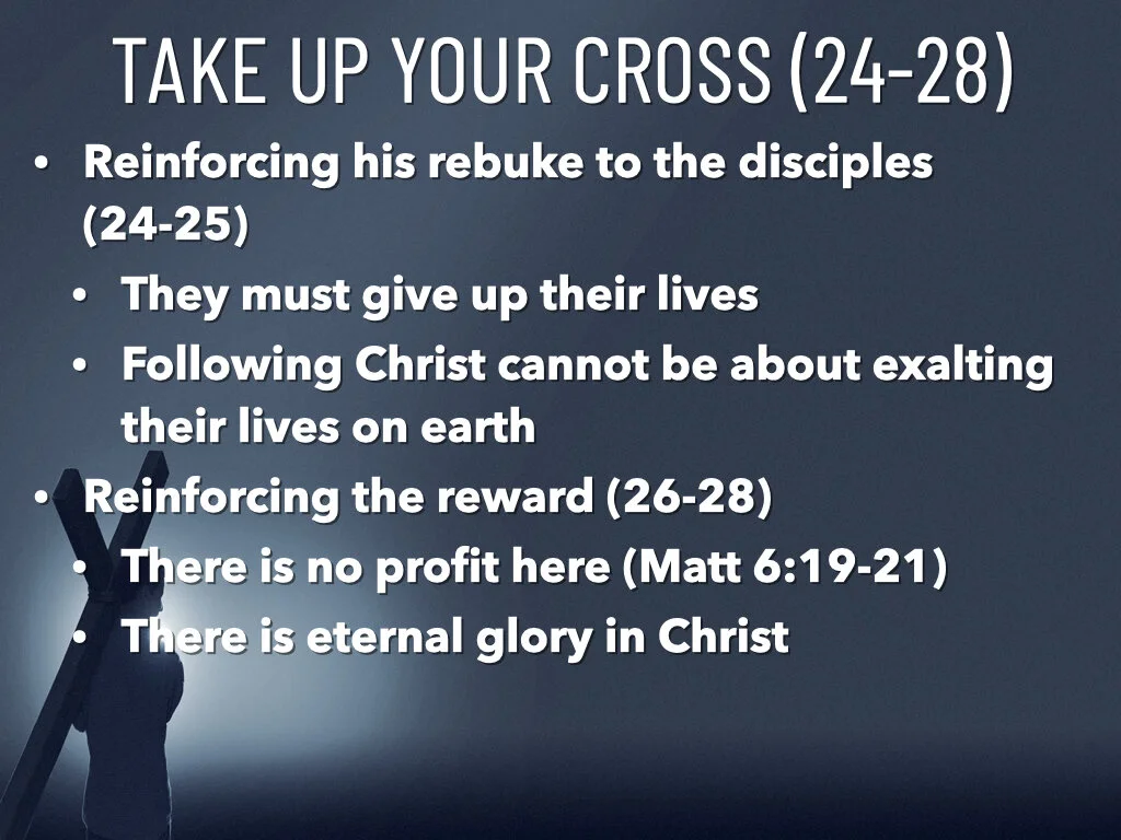 Matt 16 24 26