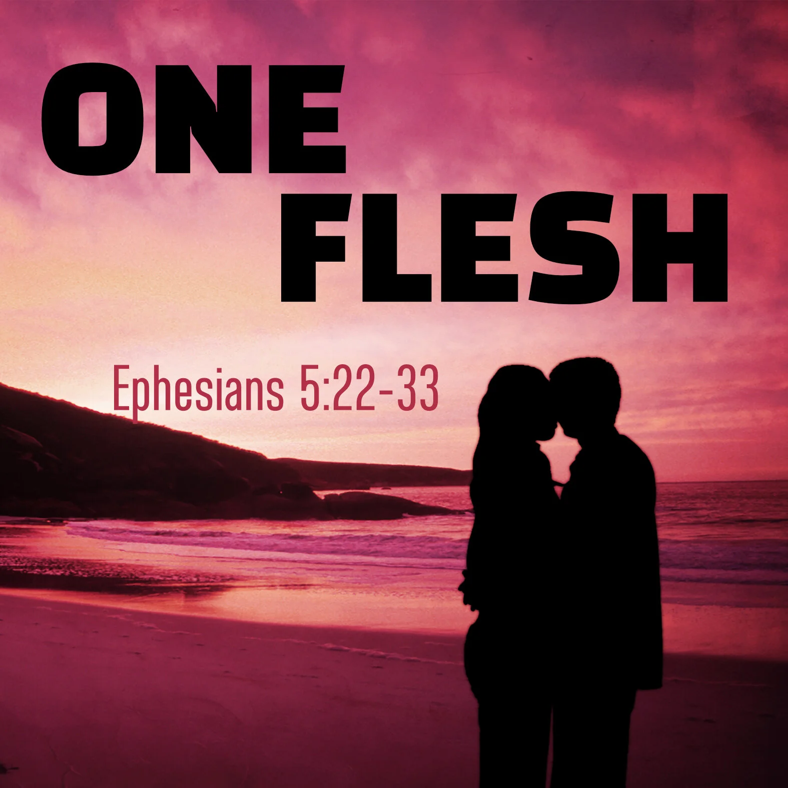 One Flesh (Ephesians 5:22-33) — Saraland Christians