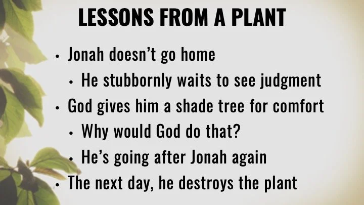 Jonah Plant