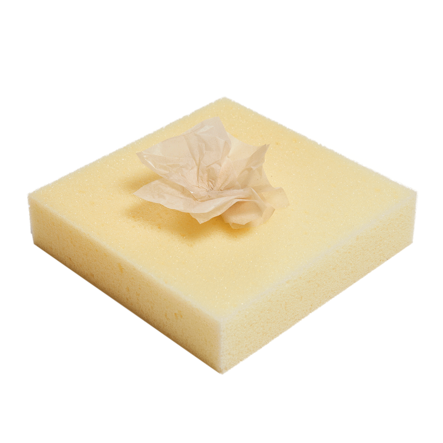 Polyurethane Foam — ECHAN