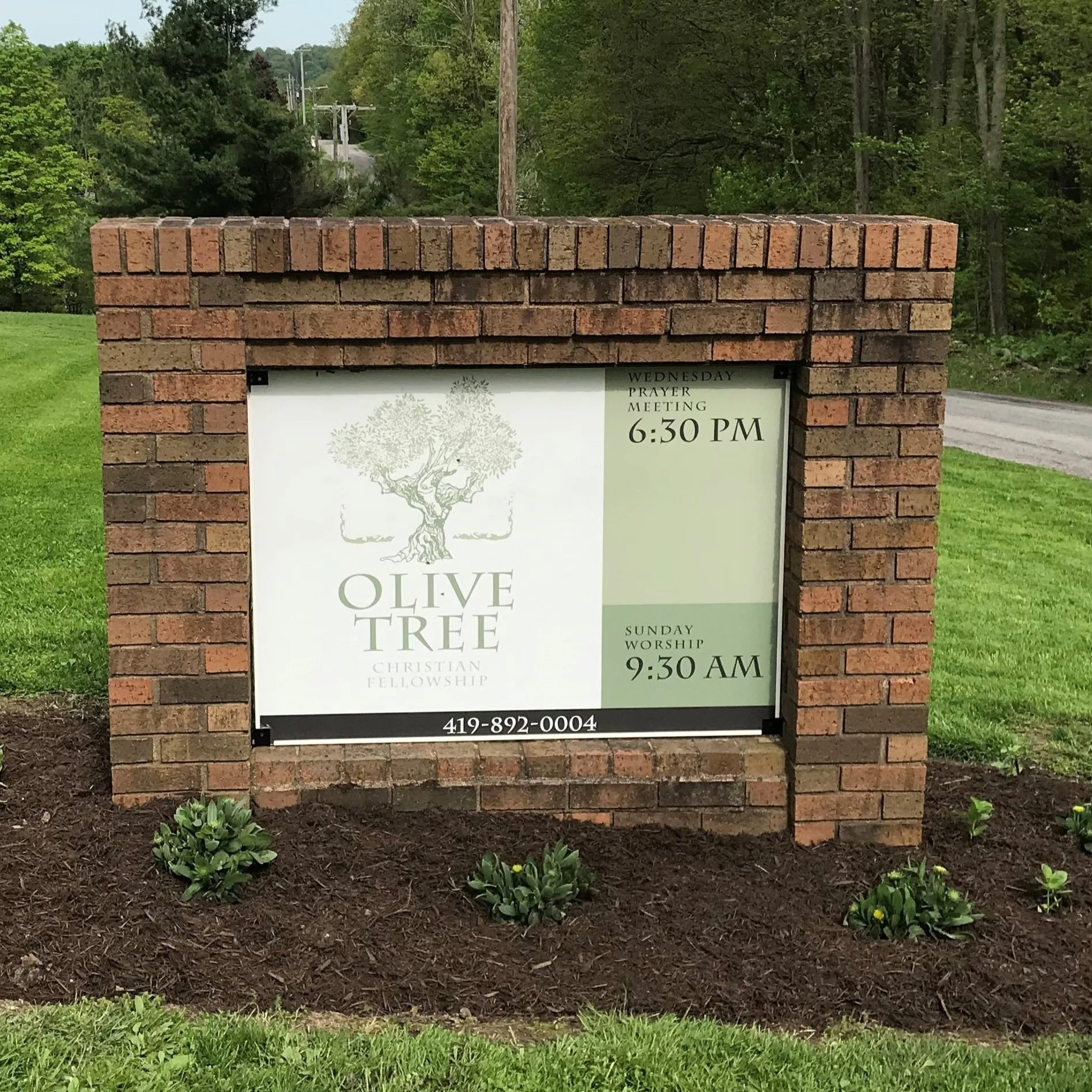 Olive Tree Christian Fellowship