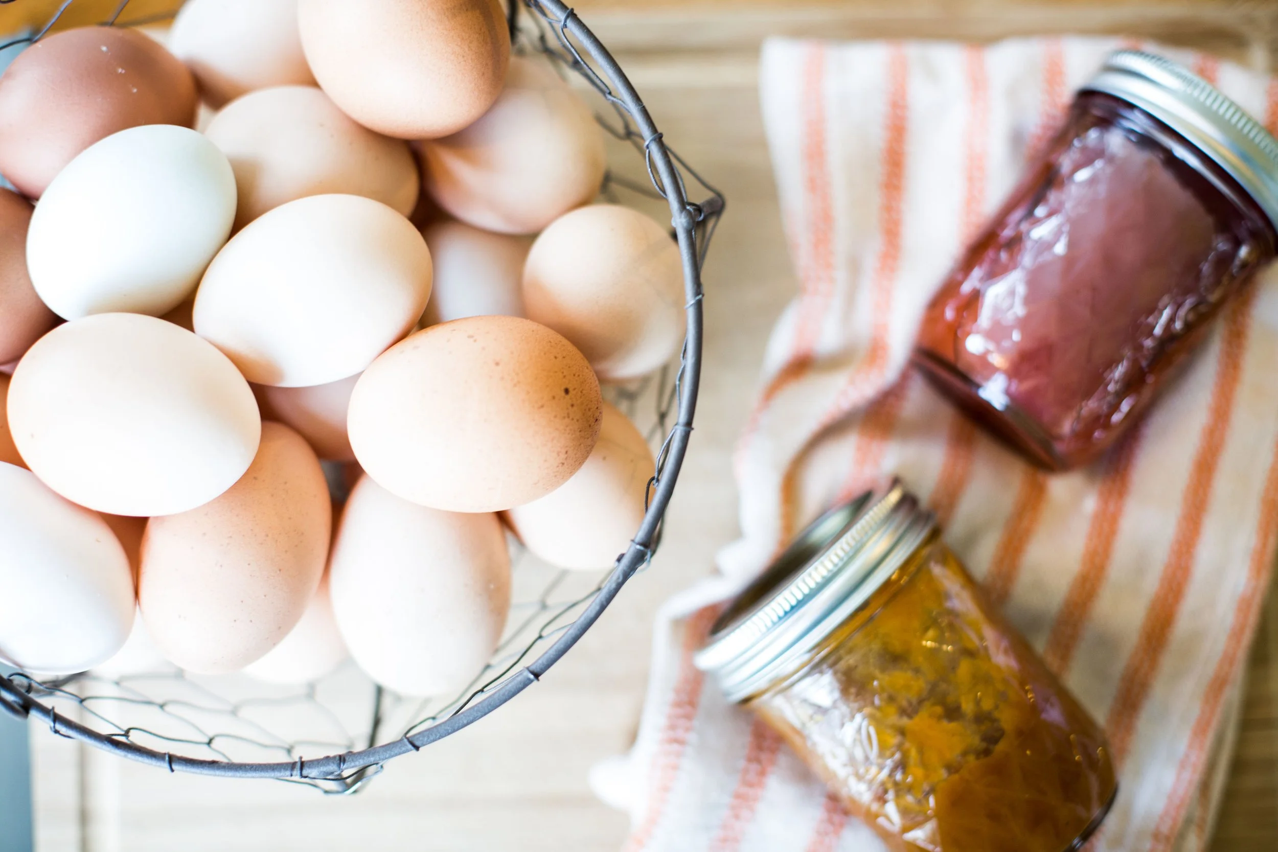 Blog — Shenk Family Farm