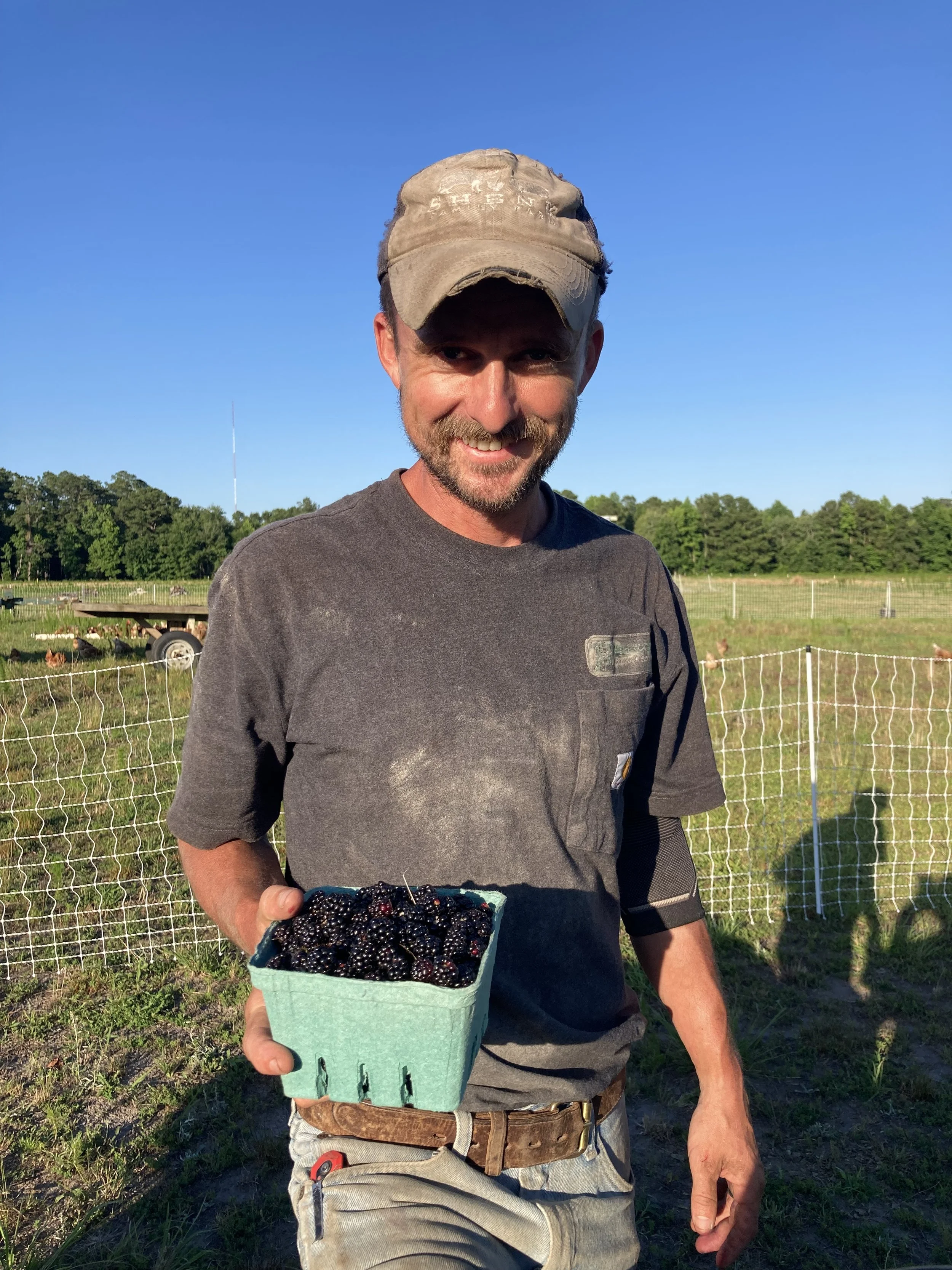 Blog — Shenk Family Farm