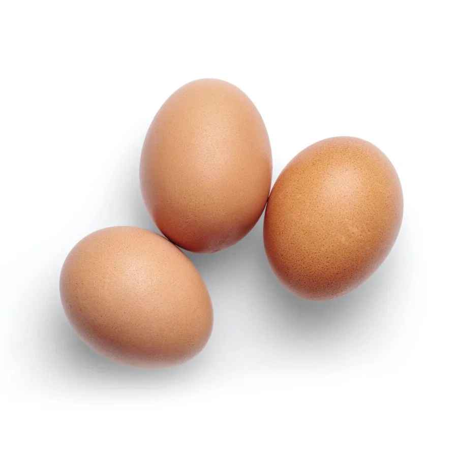 Partridge Rock Chicken Eggs