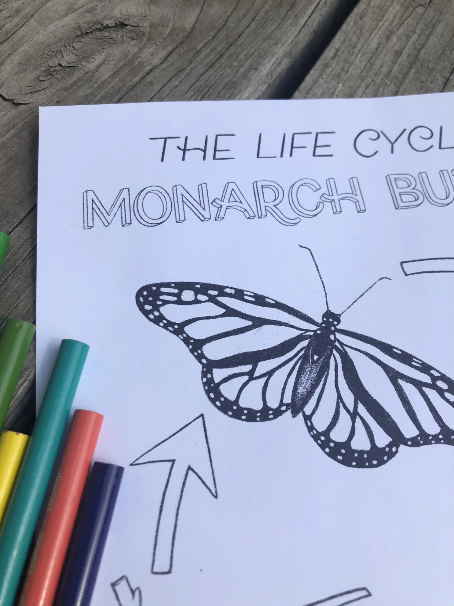 Post | Devin McSherry - Freelance Illustration and Hand Lettering