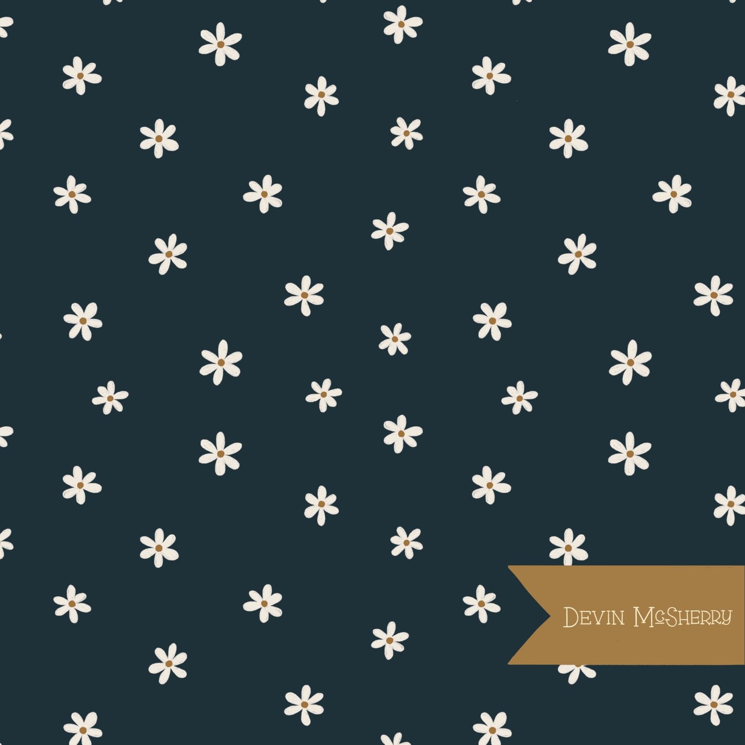 Devin McSherry | Freelance Illustration & Hand Lettering