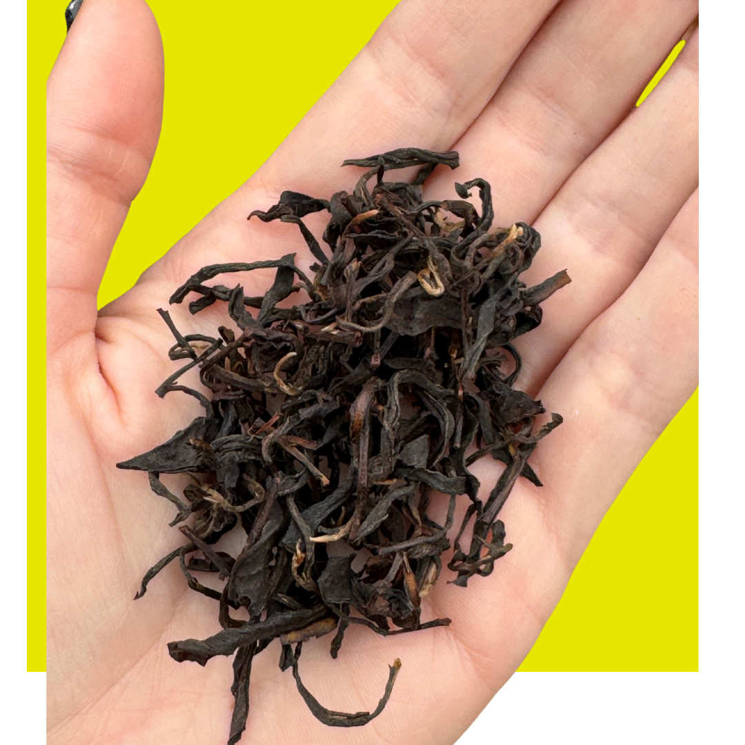 SPRING HARVEST — BANGtea