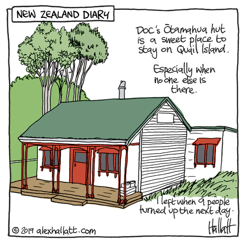 Living in New Zealand: Taking a Trip to Otamahua Hut on Quail Island ...