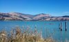Living in New Zealand: Taking a Trip to Otamahua Hut on Quail Island ...