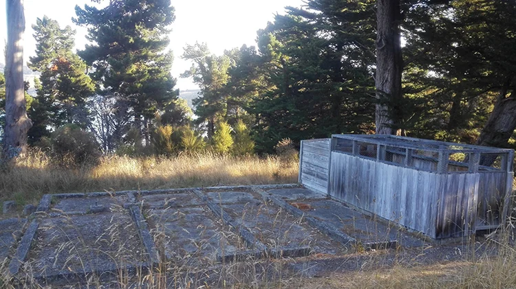 Living in New Zealand: Taking a Trip to Otamahua Hut on Quail Island ...