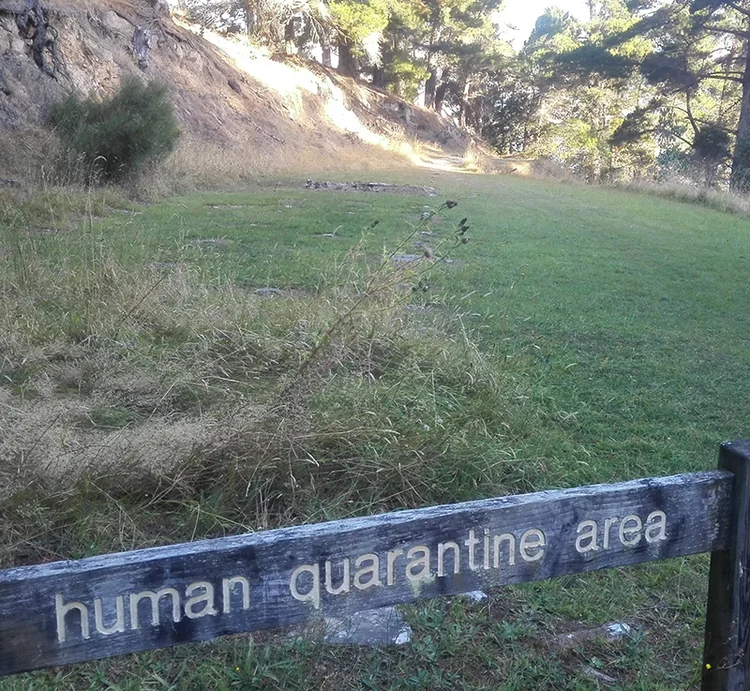 Living in New Zealand: Taking a Trip to Otamahua Hut on Quail Island ...