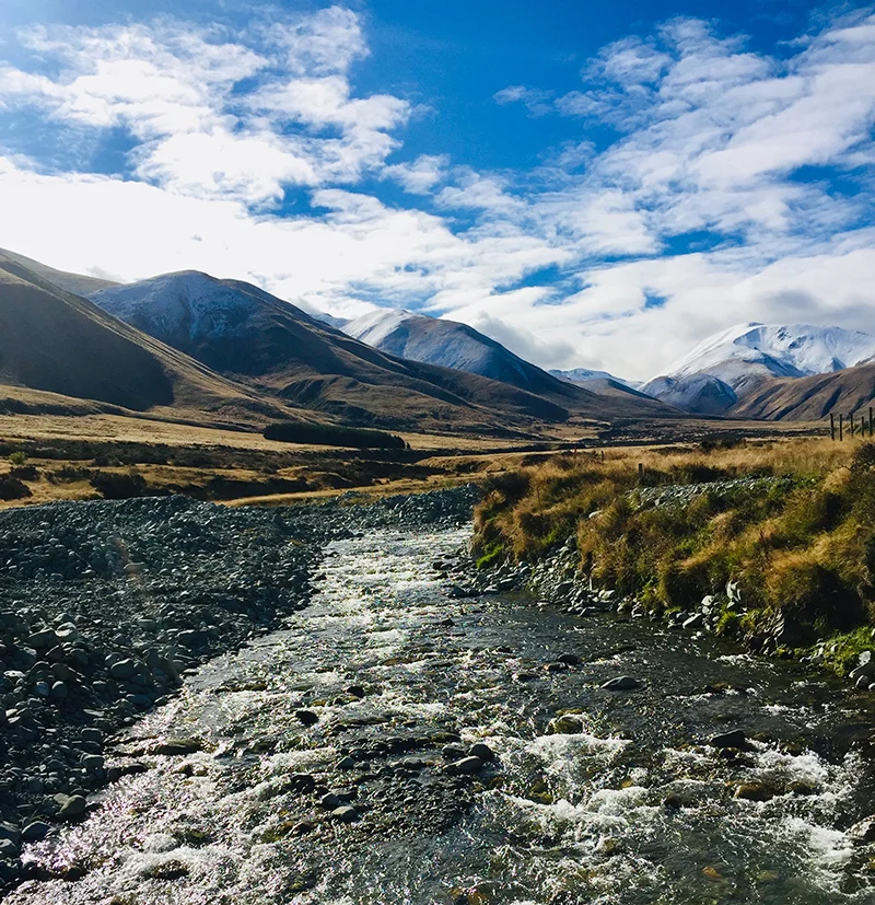 Living in New Zealand: An Overnight Tramp to Spurs Hut Near Fairlie in ...