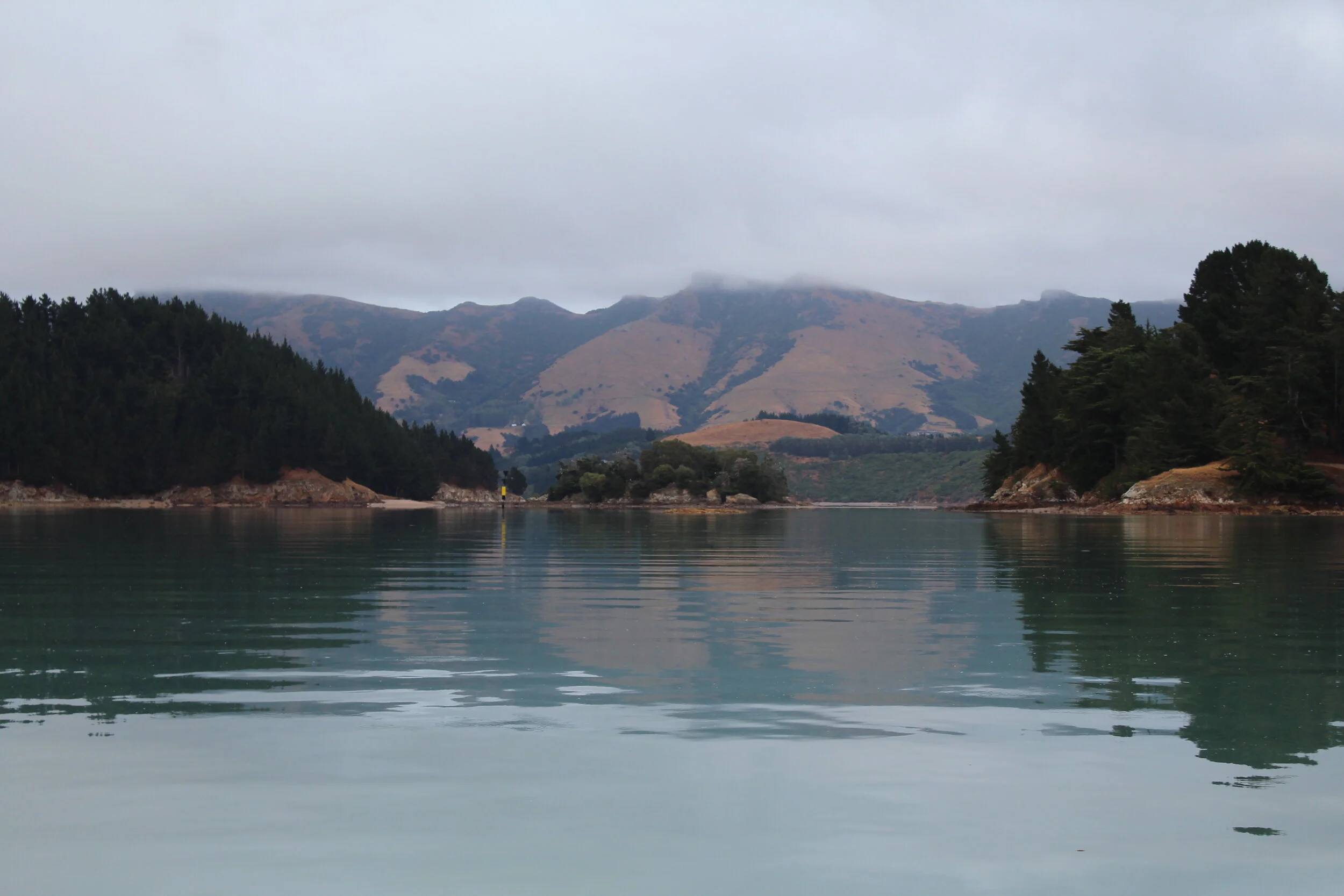 Living in New Zealand: Stand Up Paddle Boarding Around Quail Island ...