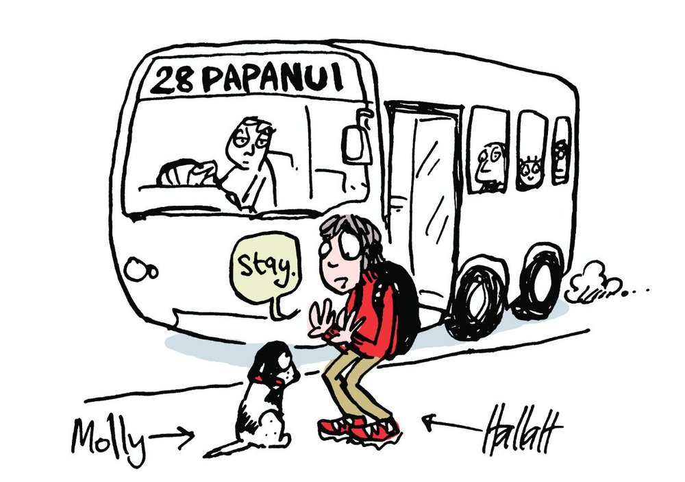 Are There Any Bus Lines That Allow Dogs