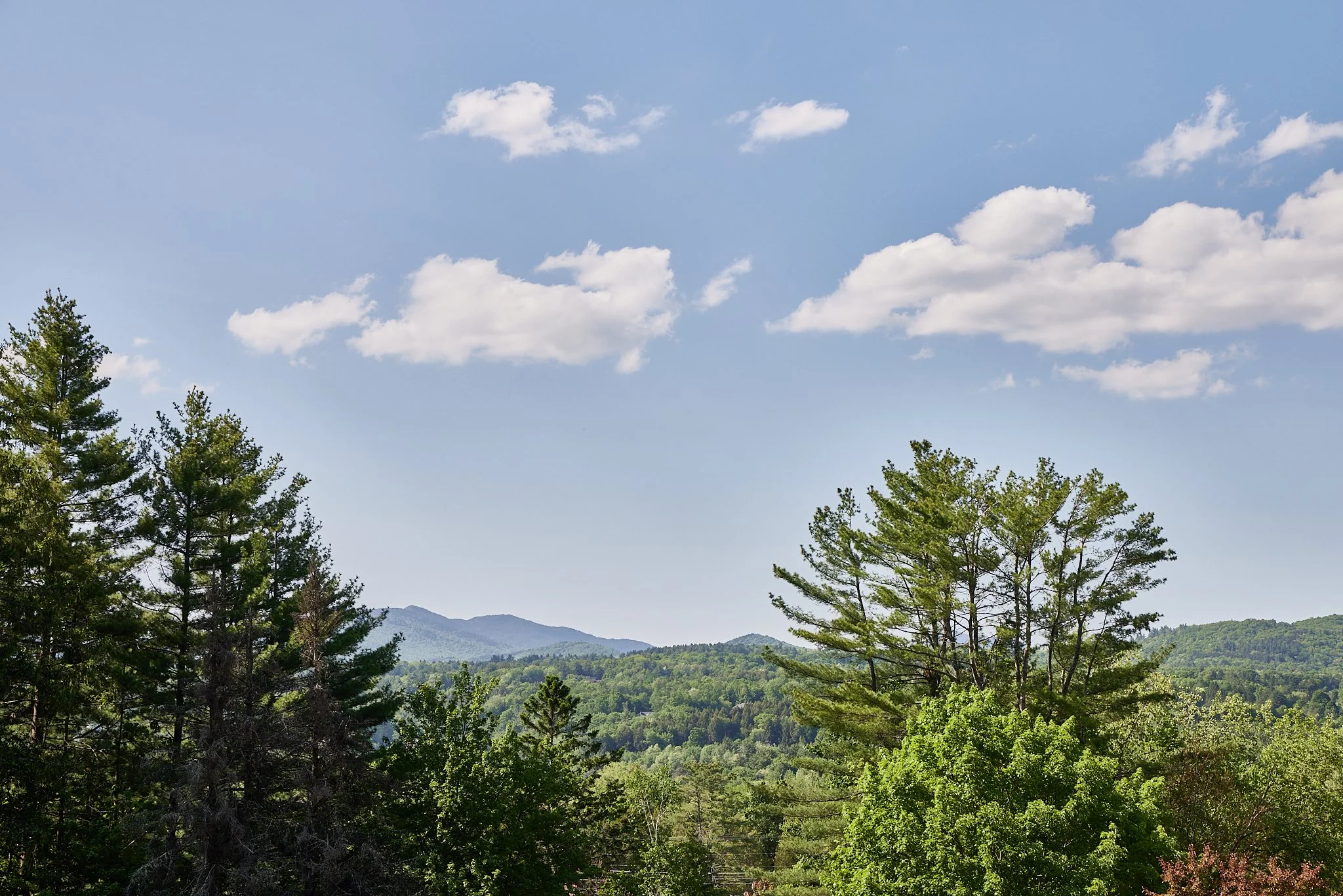 Bluebird Cady Hill Lodge — Elder & Ash