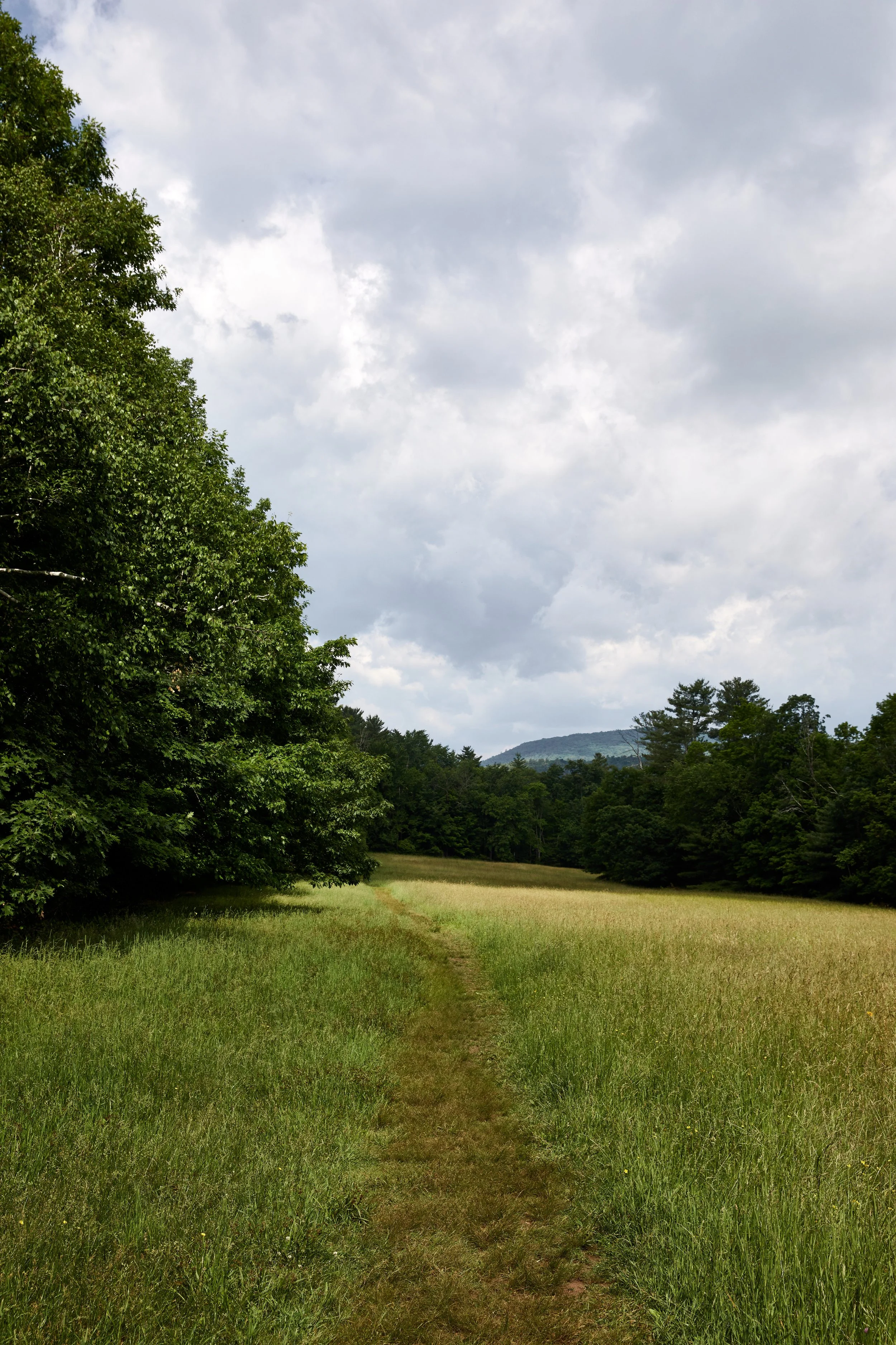 Bluebird Hunter Lodge — Elder & Ash