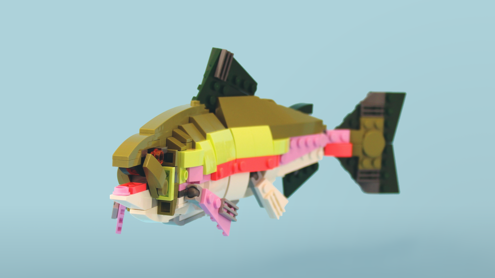 Pink Salmon | Aaron Brick Designer