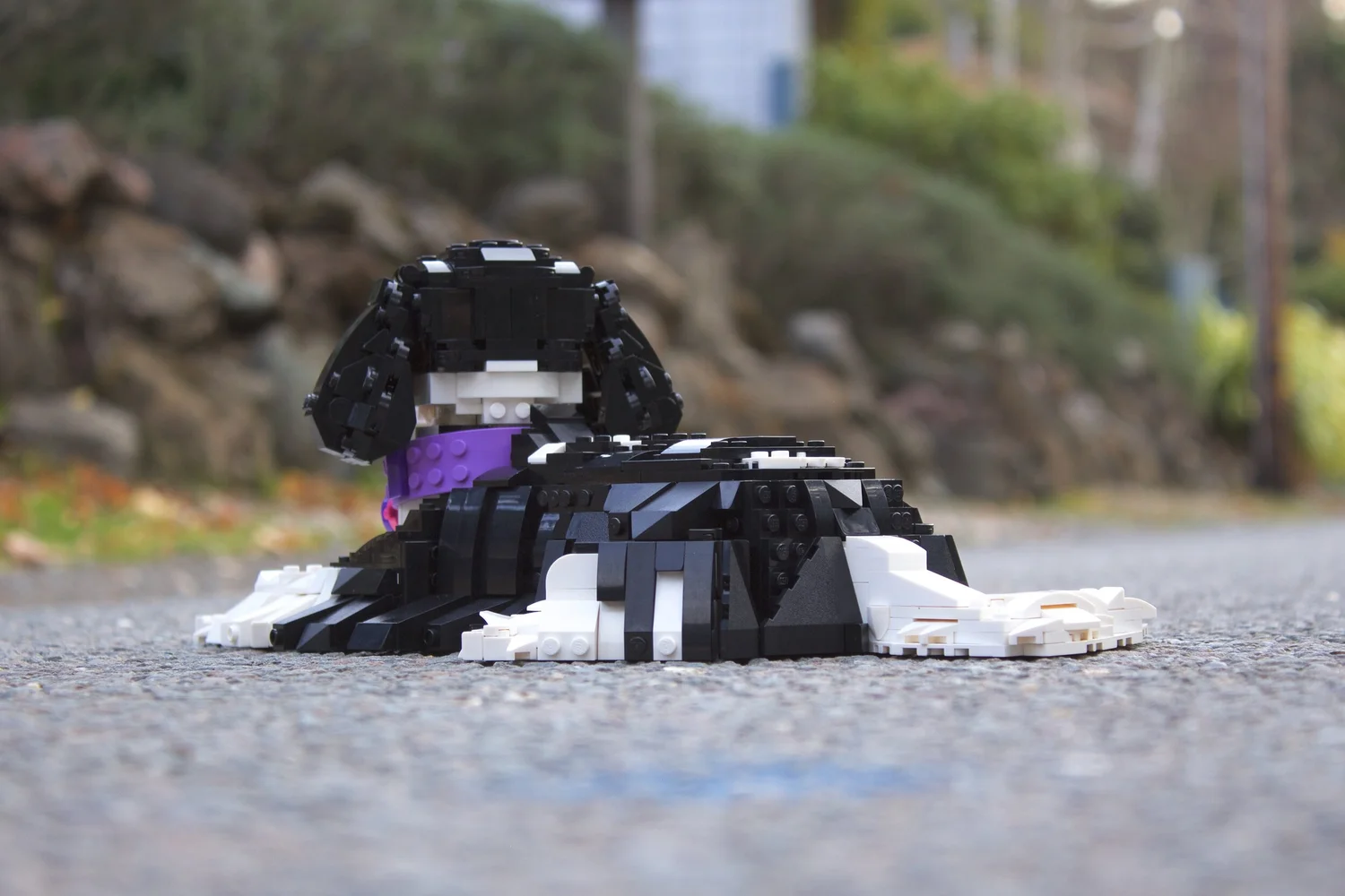 LEGO Cavalier King Charles Spaniels | Aaron Brick Designer