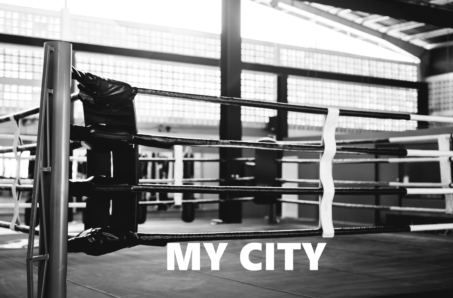 Tysons City Boxing