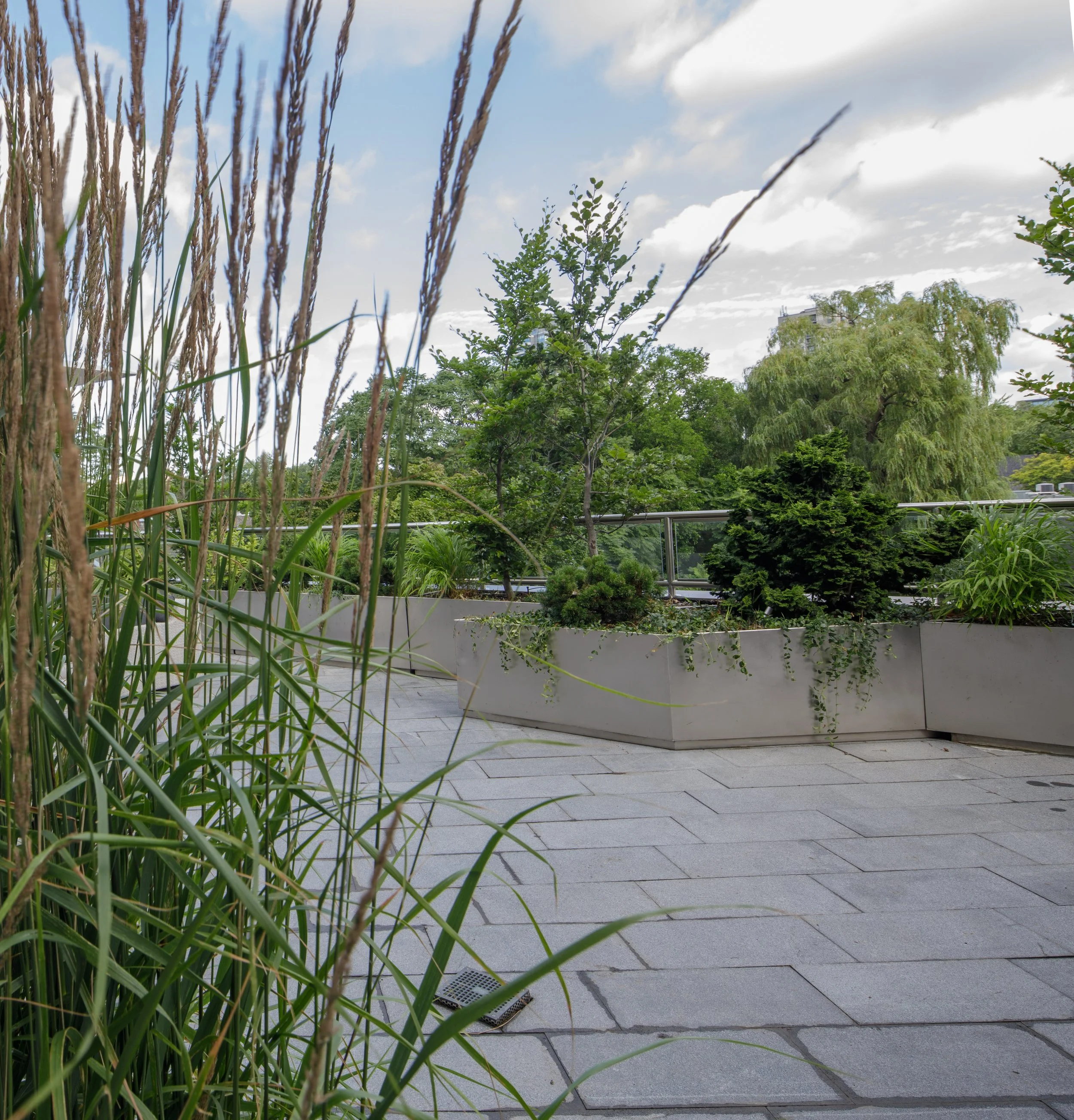 Elias Plus Landscape Architects: Yorkville Private Terrace — SALINA KASSAM