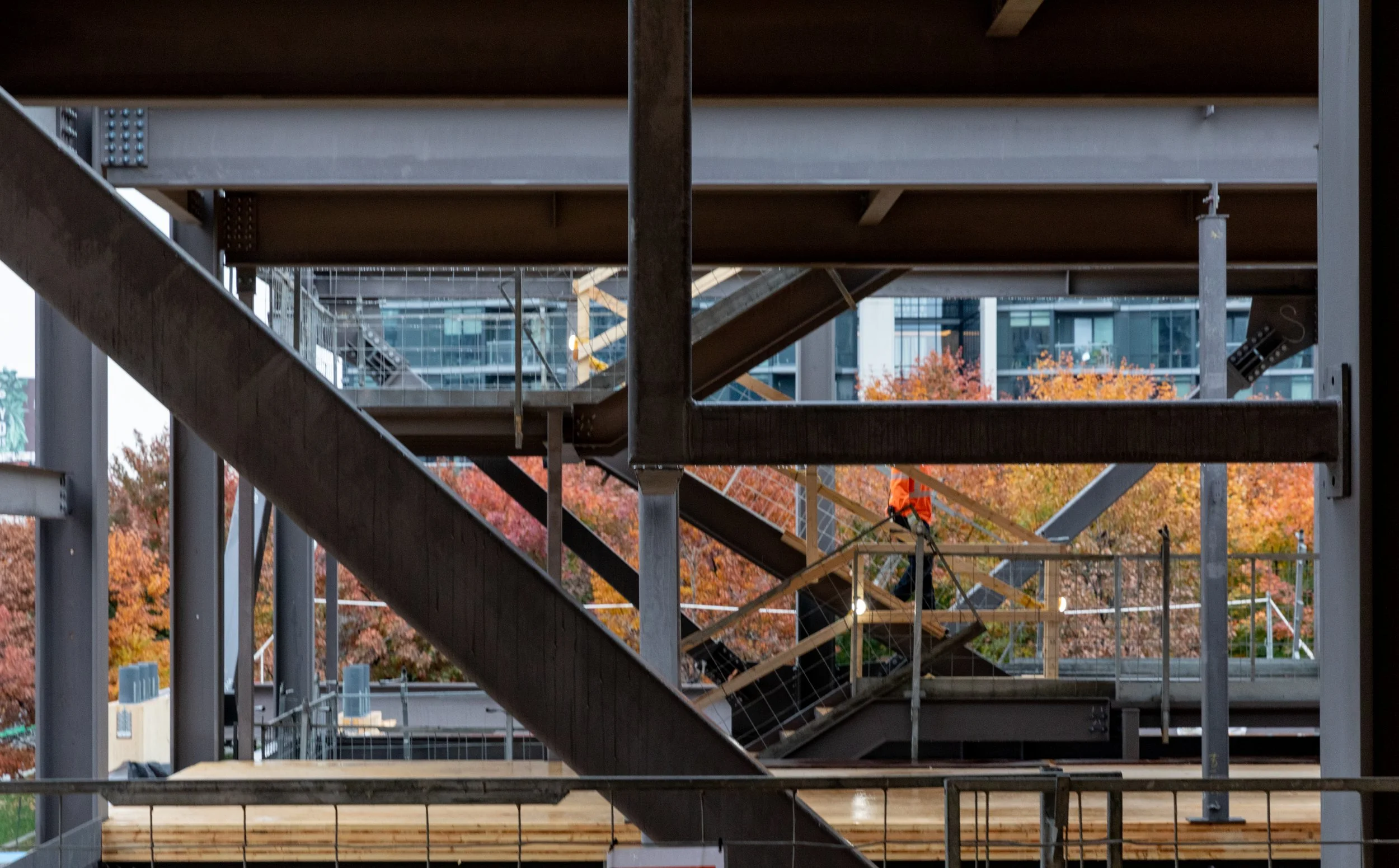 The Story of Limberlost Place- MORIYAMA AND TESHIMA AND ACTON OSTRY ...