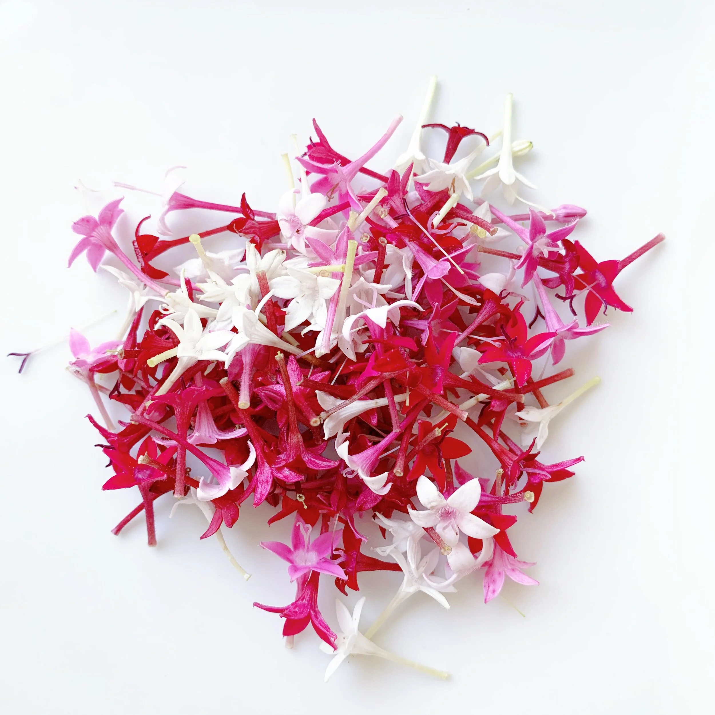 That Cheese Plate's Guide to Edible Flowers — THAT CHEESE PLATE