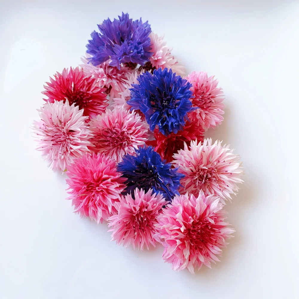 That Cheese Plate's Guide to Edible Flowers — THAT CHEESE PLATE