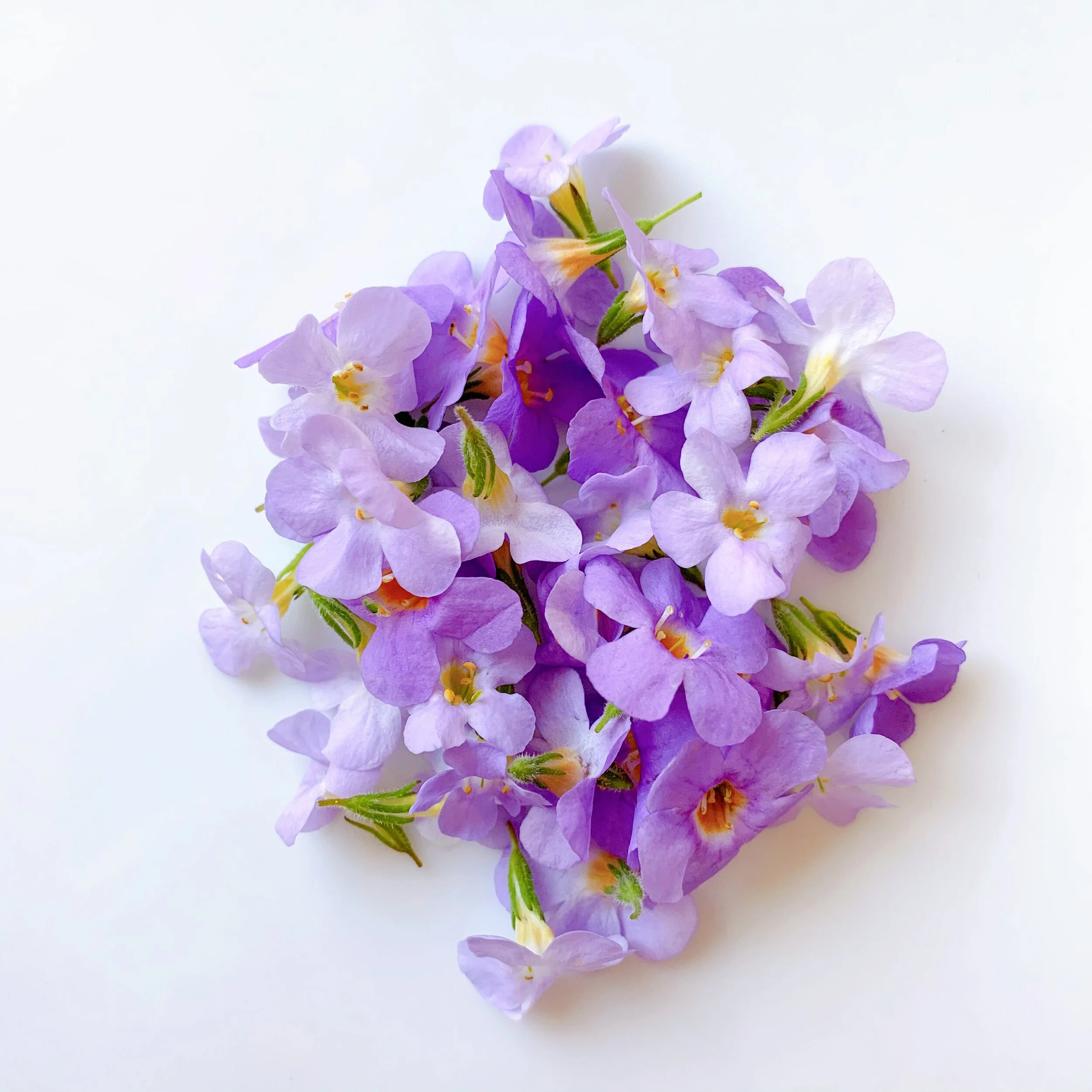 That Cheese Plate's Guide to Edible Flowers — THAT CHEESE PLATE