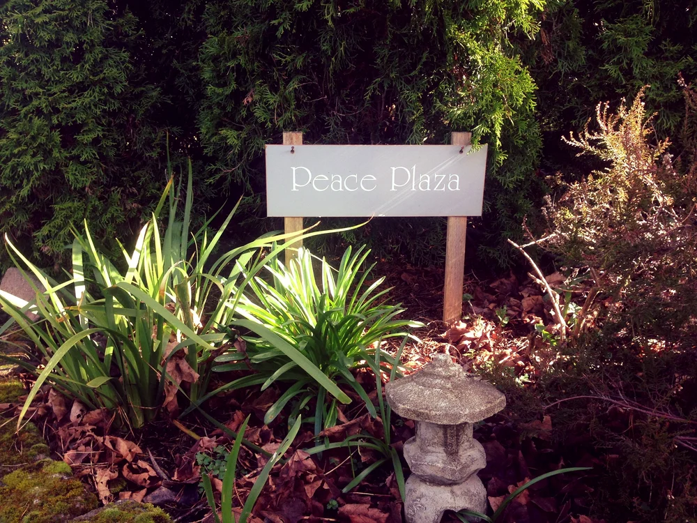 The Peace House