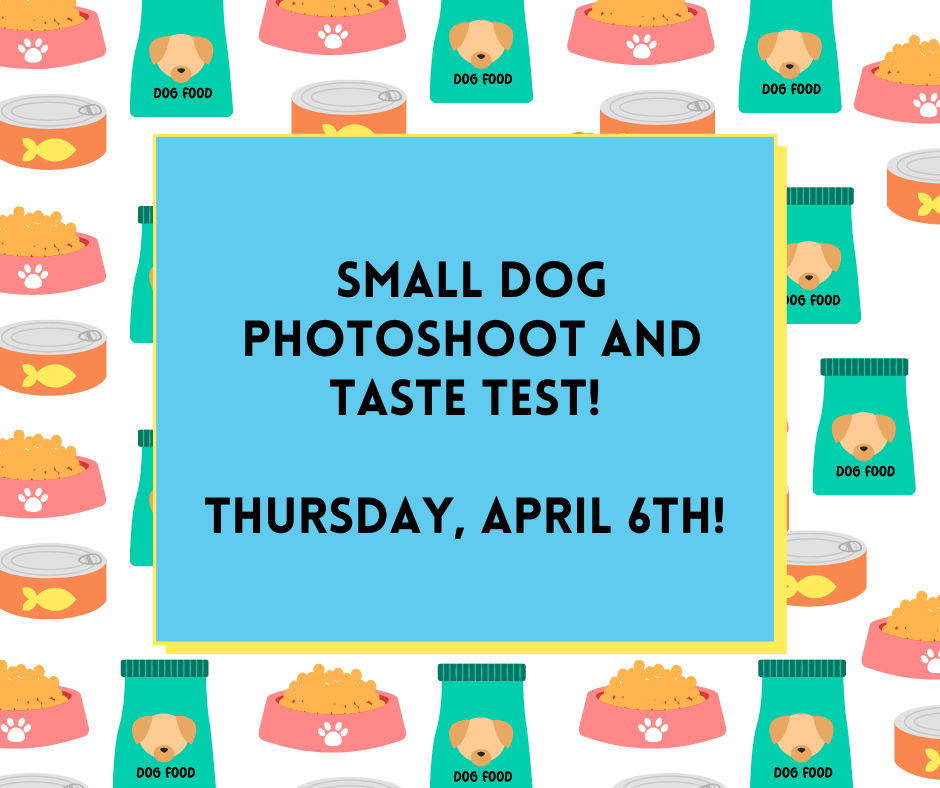 Work and Woof Events! — Work & Woof