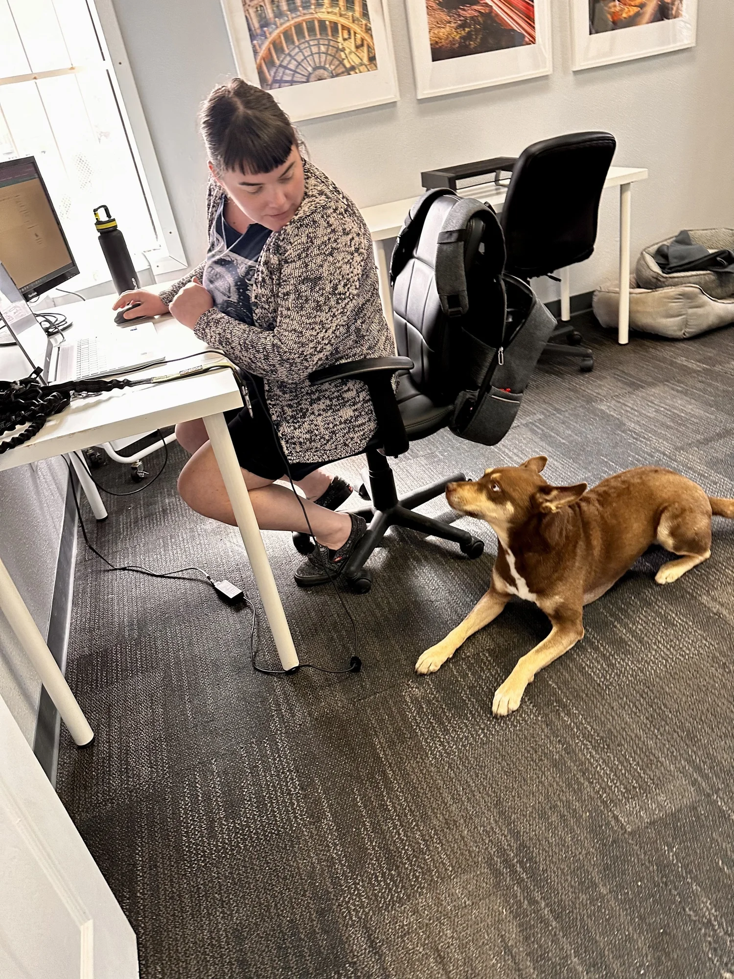 Work & Woof