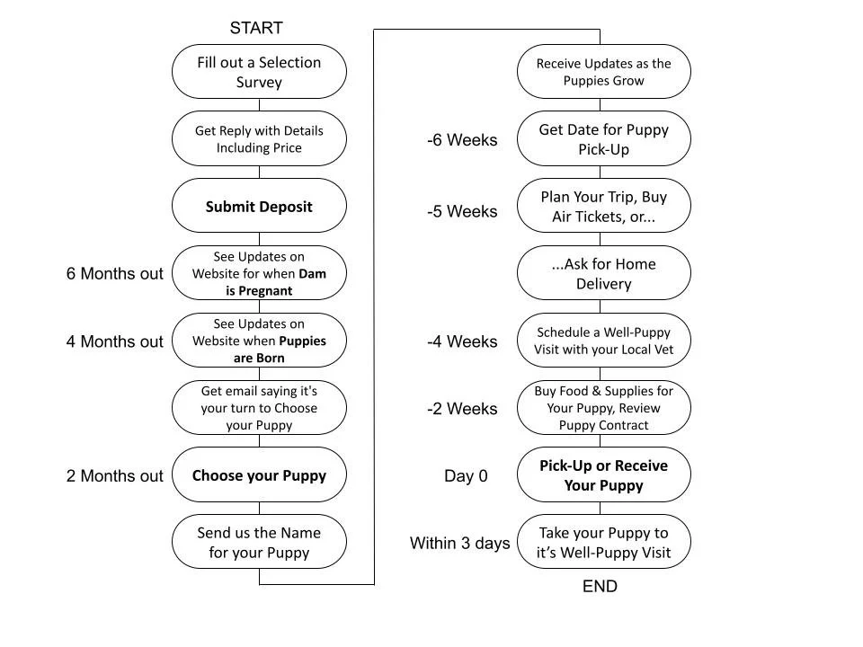 Adoption Process — Puglicious Cuddled Pugs