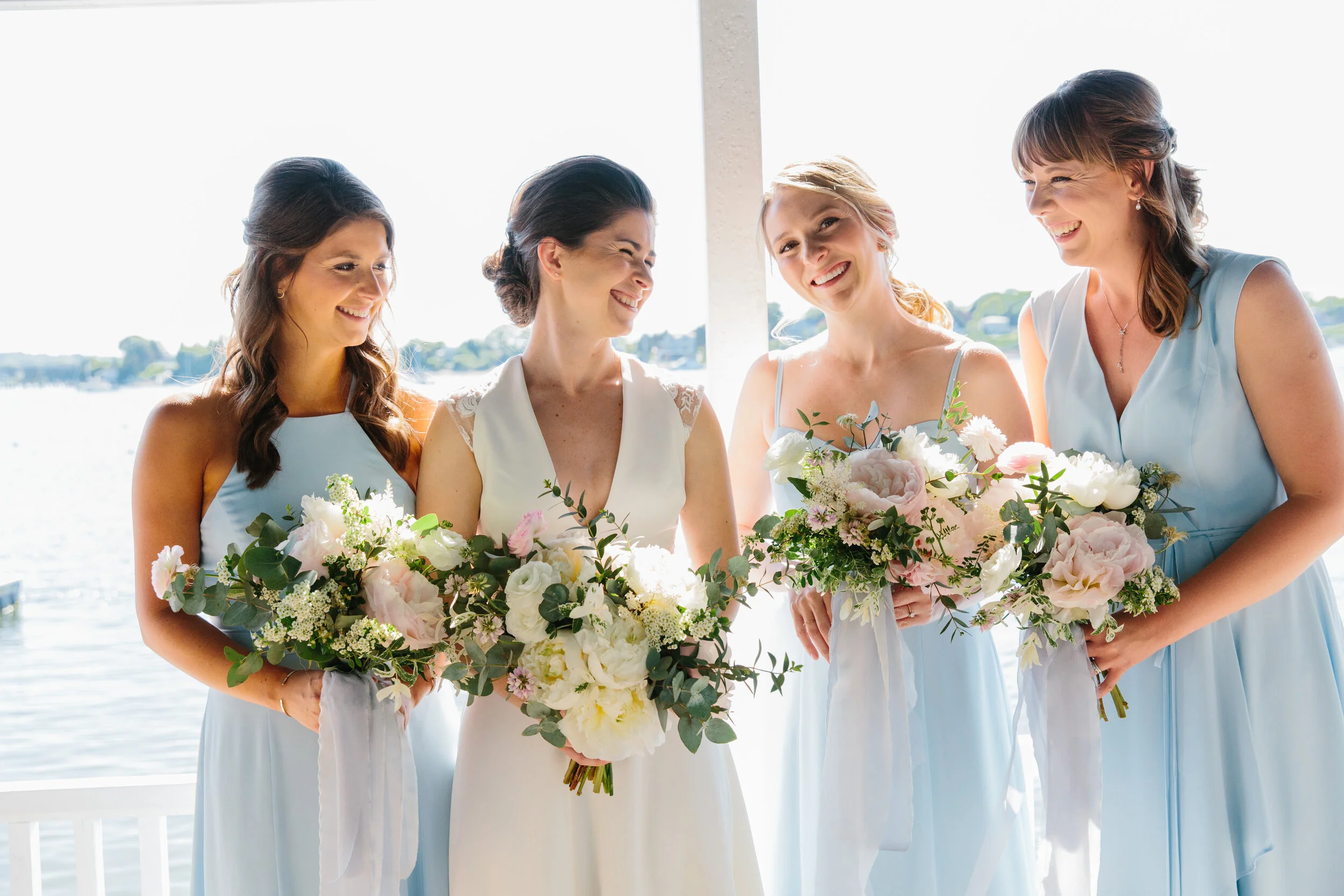 Seaside Splendor — wren