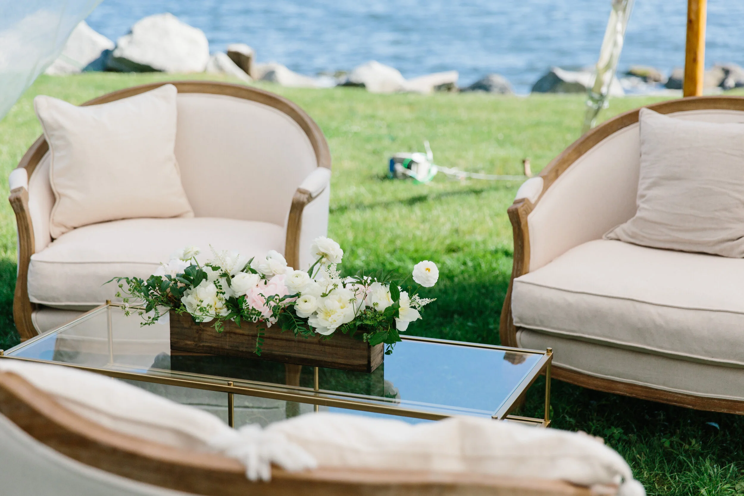 Seaside Splendor — wren