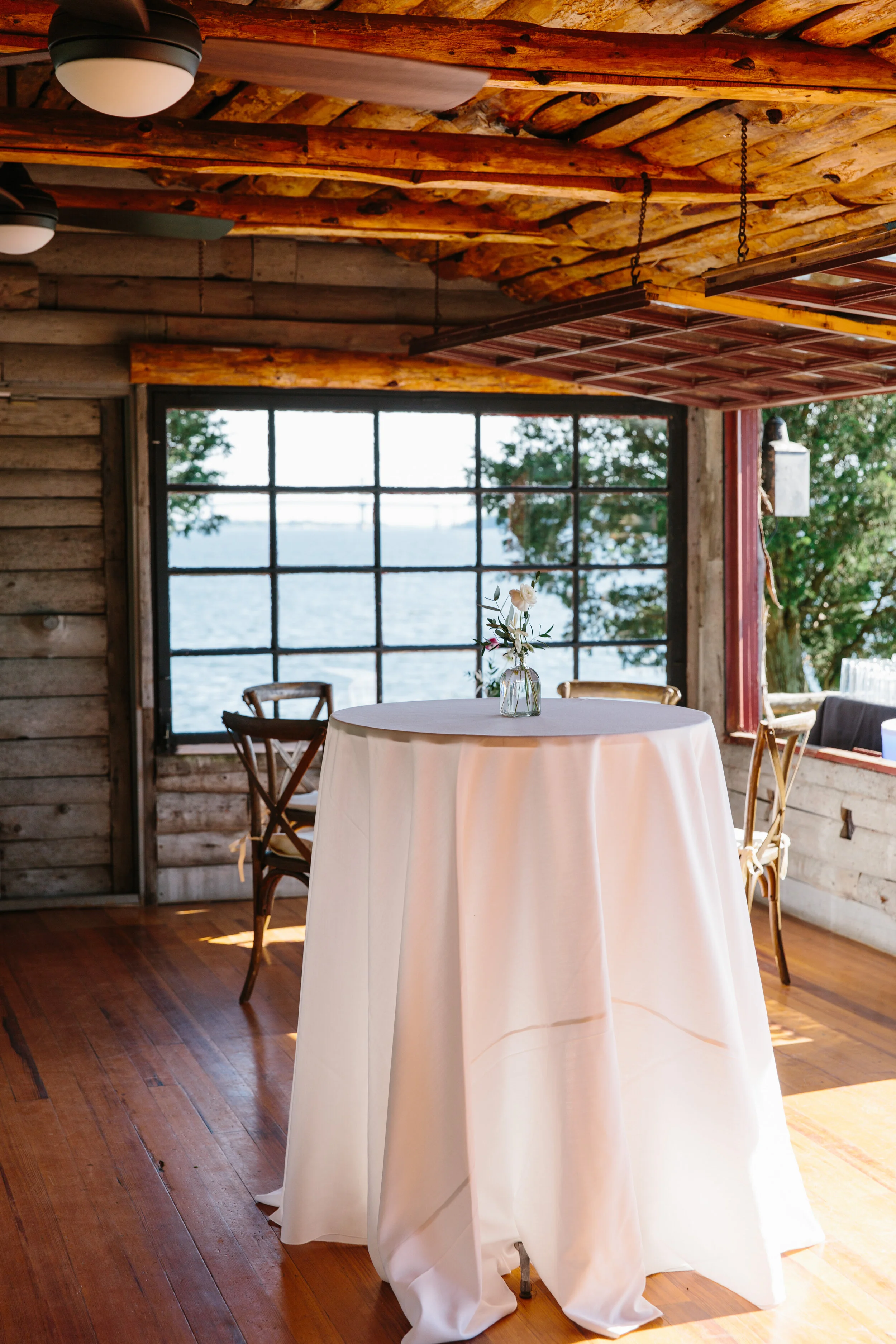 Seaside Splendor — wren