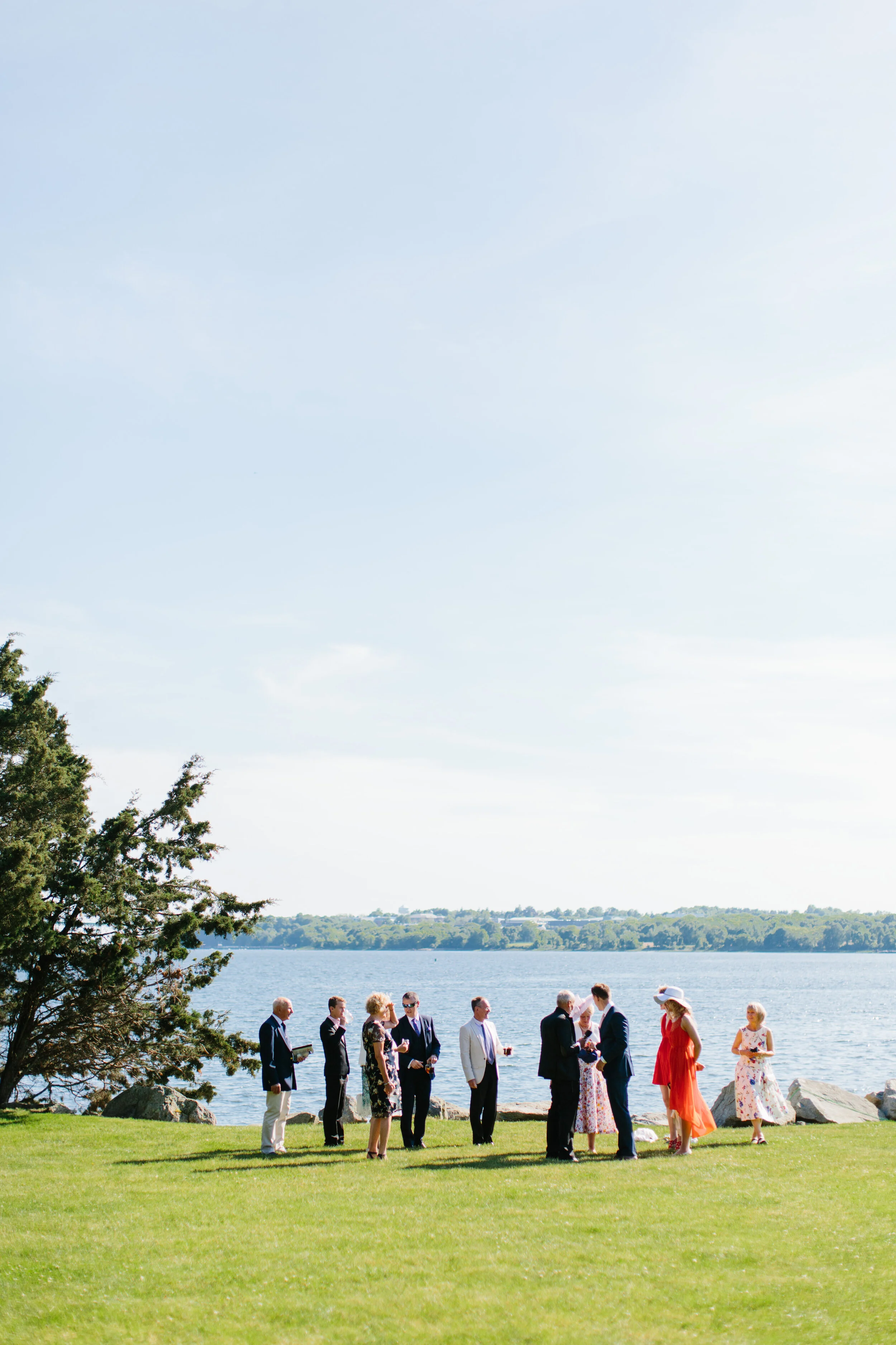 Seaside Splendor — wren