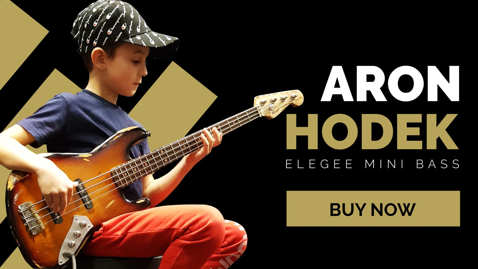 Elegee Custom Guitars - Custom Bass, Guitars, and Pickups