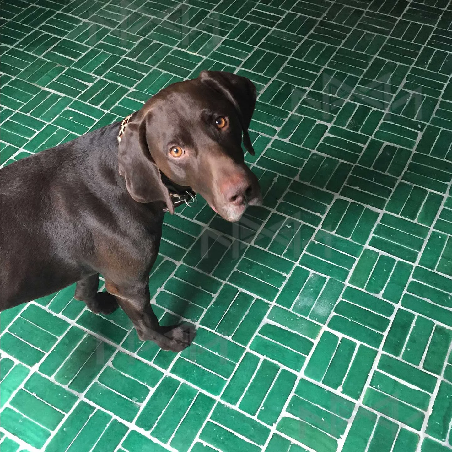 moroccan zellige tiles | welcome to mosaics-tiles.com