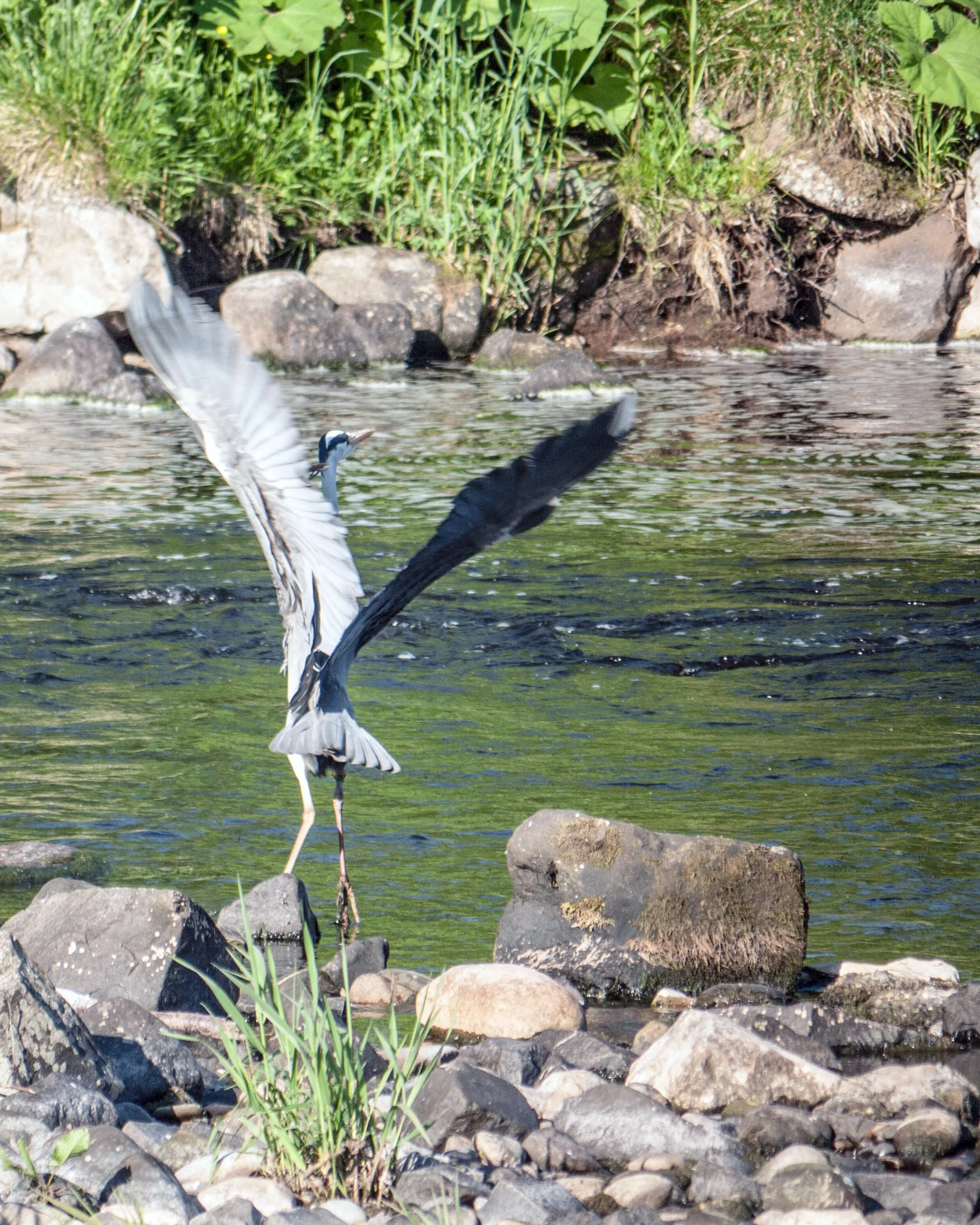 Sculpture 2 - Brokenscar — River Tees Rediscovered