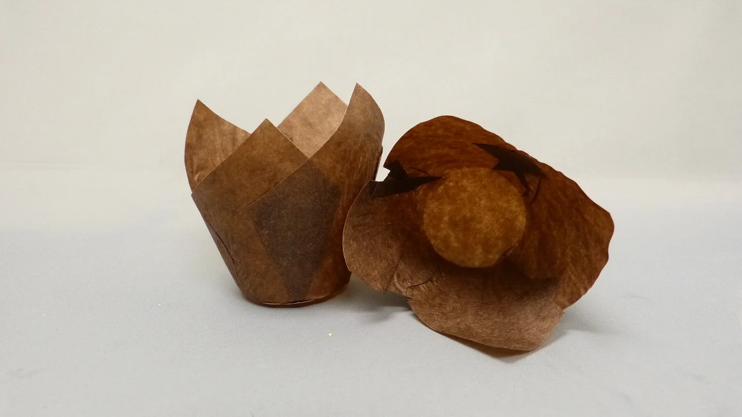 Tulip Cups — Westcan Marketing