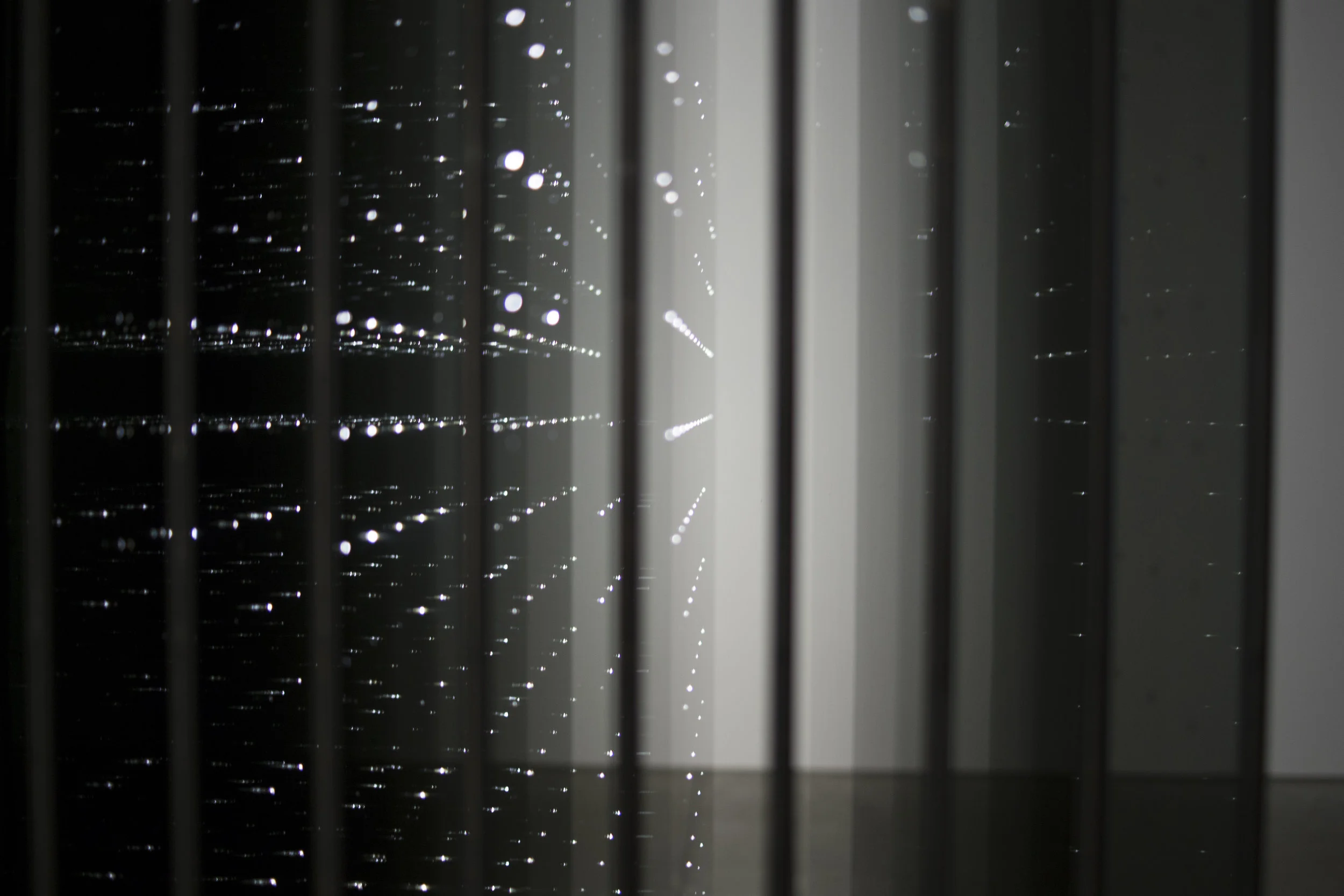 RANDOM INTERNATIONAL