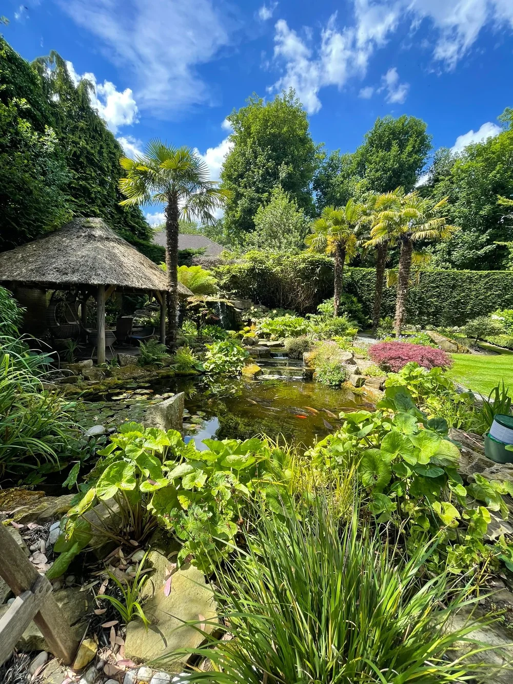 Gardening Services & Maintenance - London & Hertfordshire