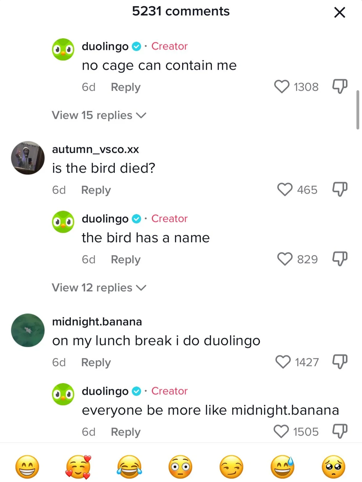 A Social Media Audit on Duolingo by Julia Allman — Pursue Persuade