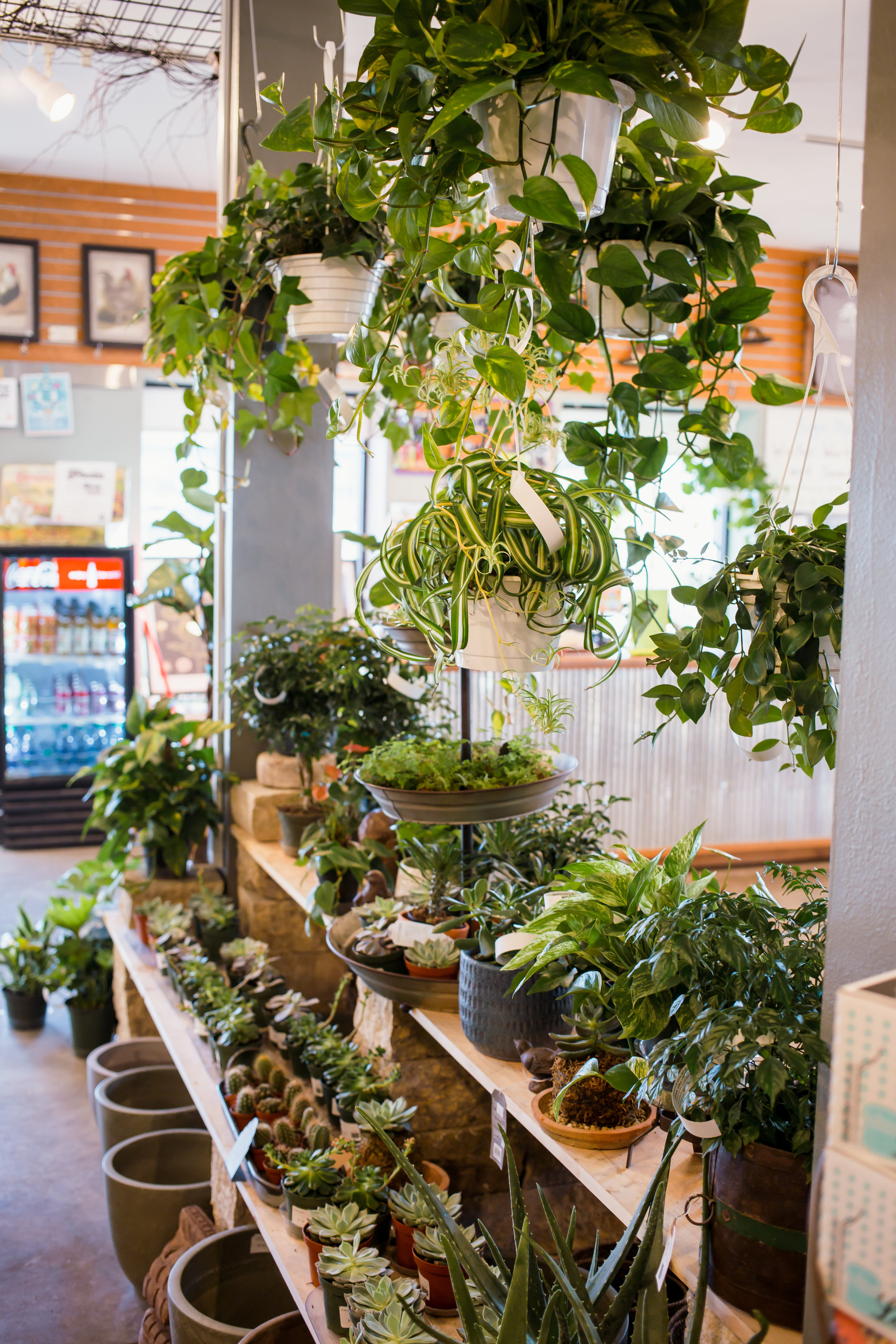 Iowa City Landscaping