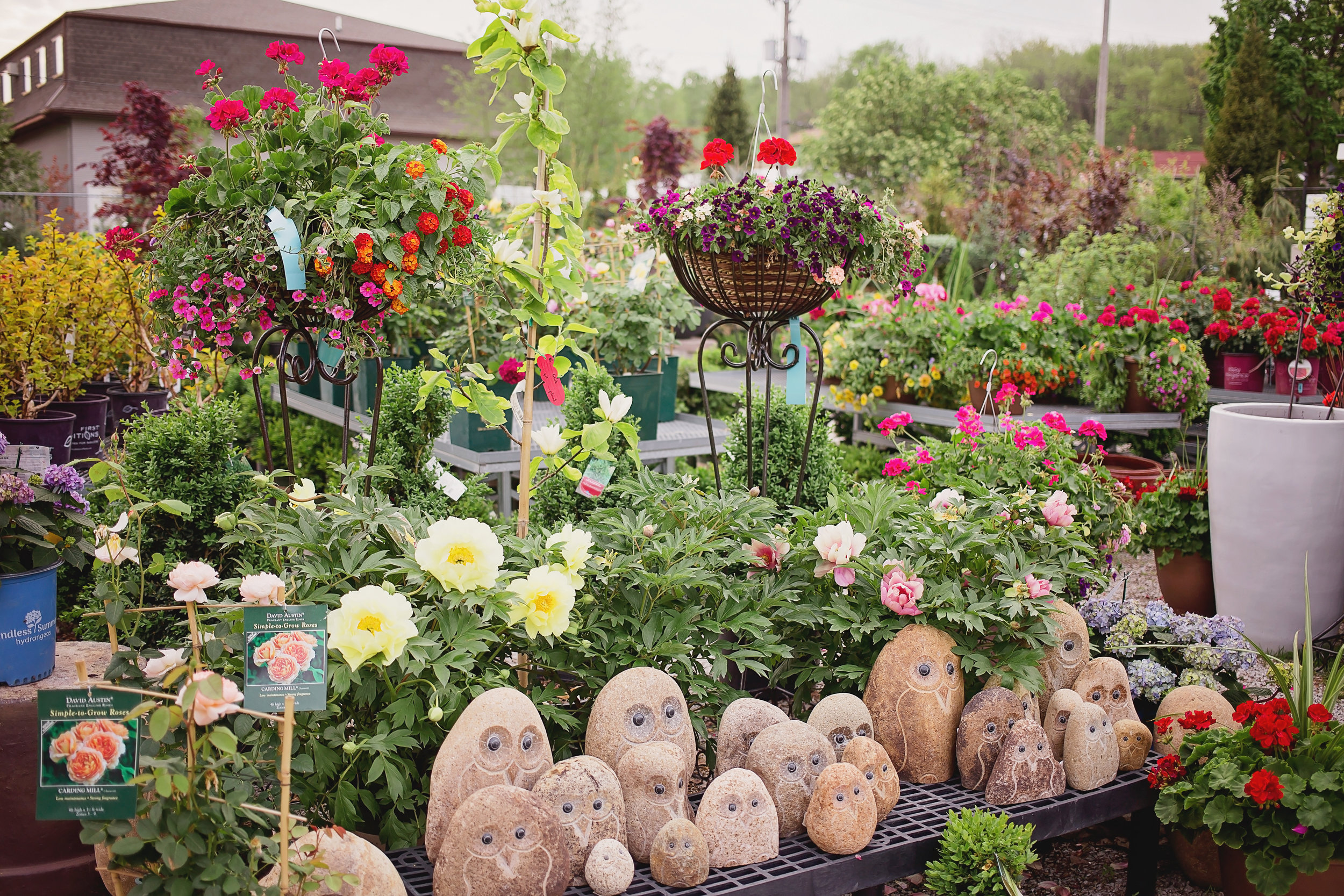 Iowa City Landscaping