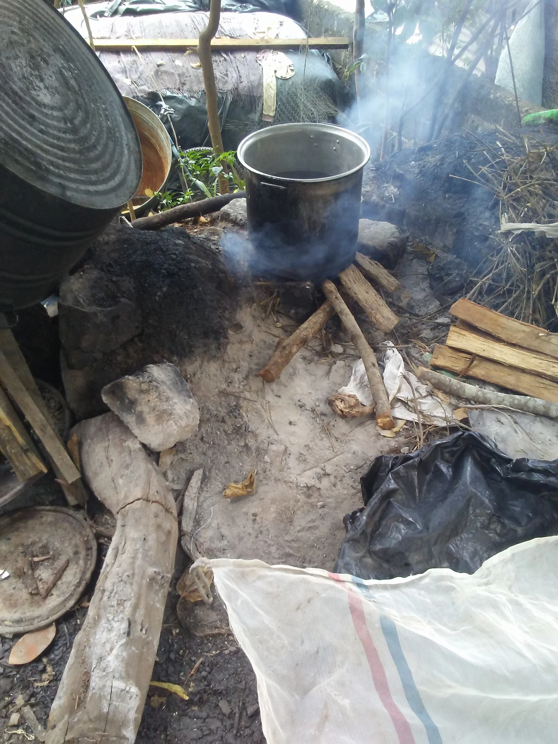 Papermaking — Frogsong Press