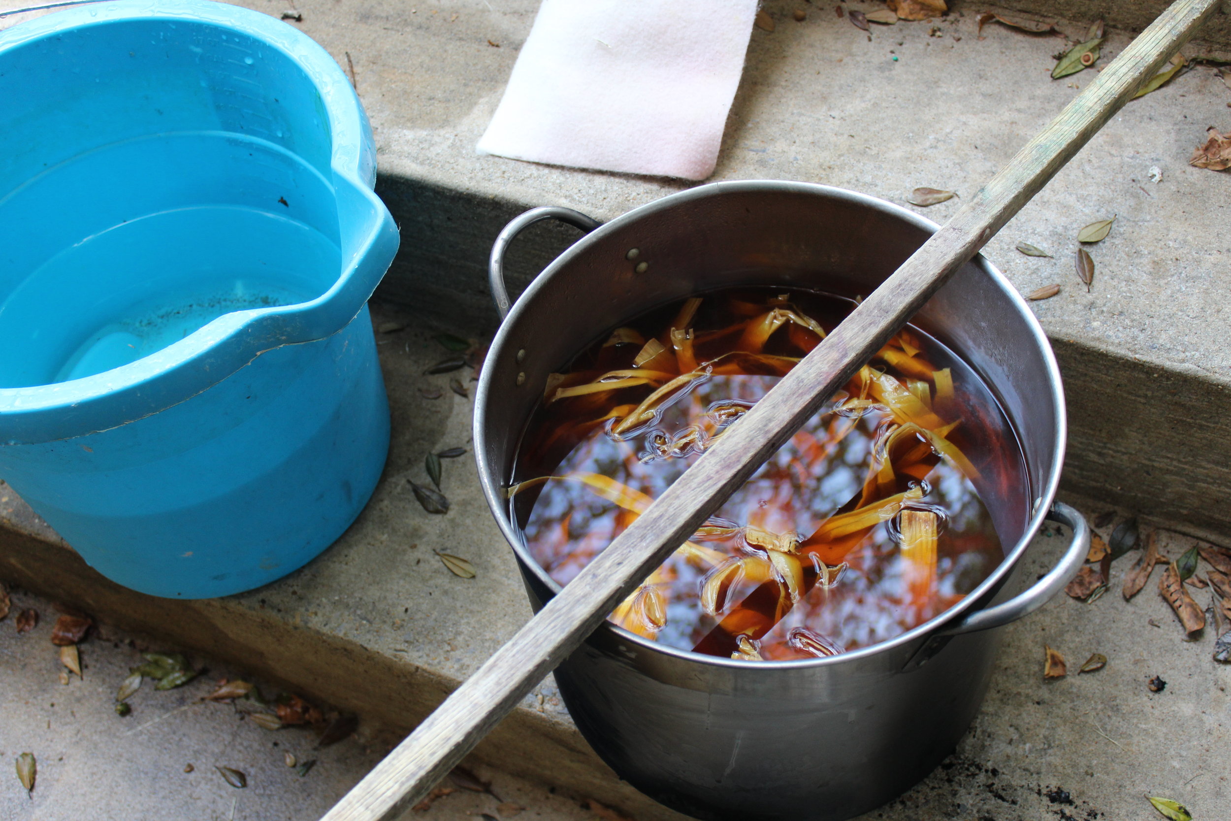 Papermaking — Frogsong Press