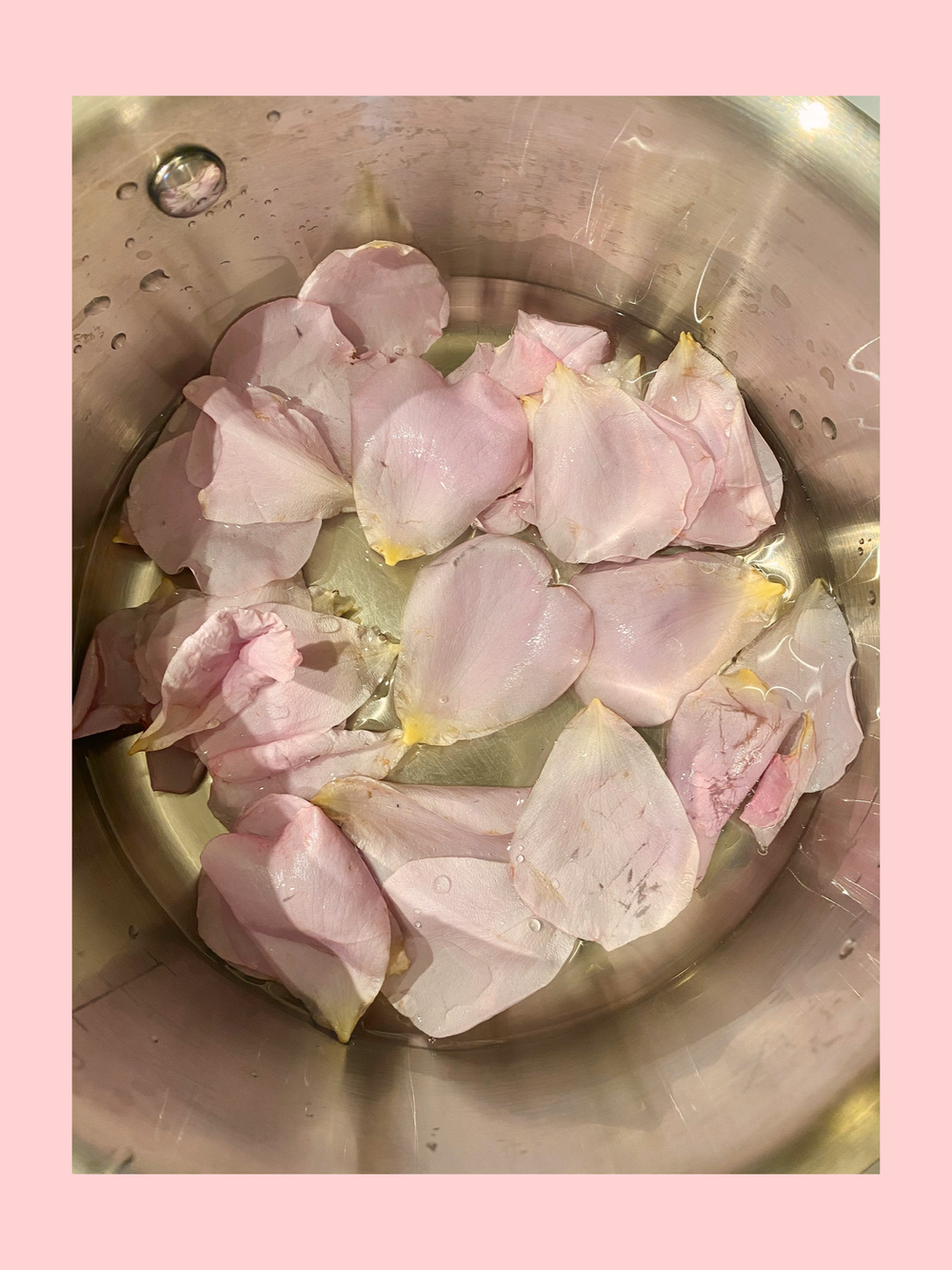 Monarch At Home -DIY Rose Water — Monarch Events