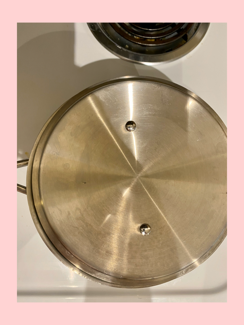 Monarch At Home -DIY Rose Water — Monarch Events